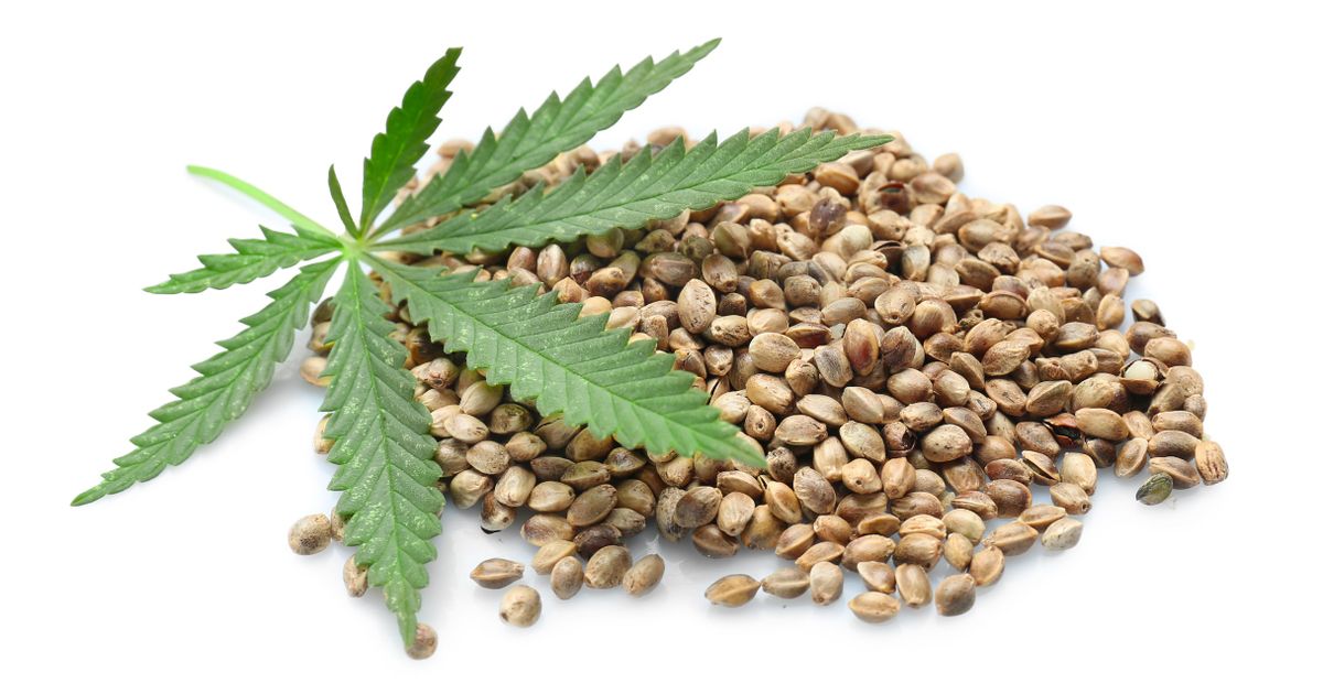 Generation Hemp launches Gas Monkey Spill-Jack hemp product line ...