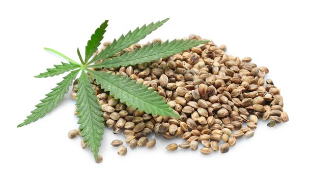 Generation Hemp launches Gas Monkey Spill-Jack hemp product line ...