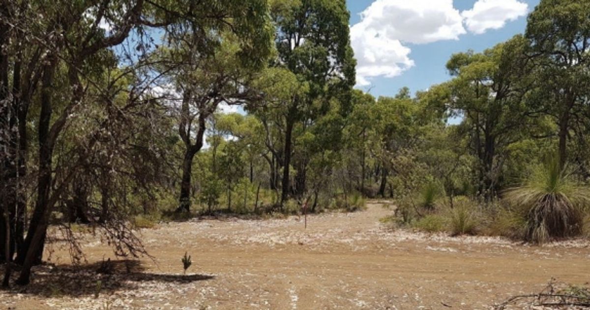 Chalice Mining kicks off first ever exploration drilling at Hartog ...