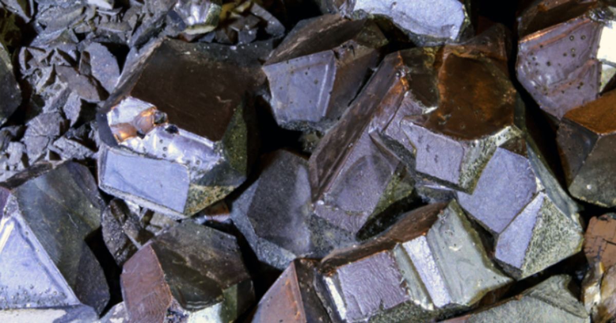 Oar Resources targets growth and development with new CEO and board ...