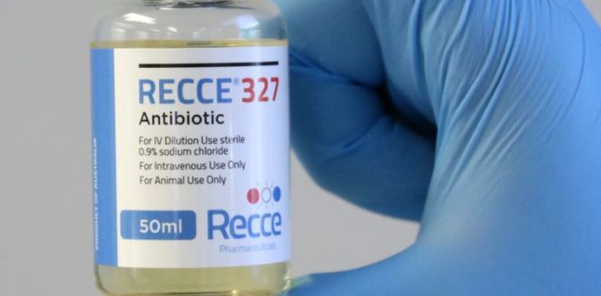 Recce Pharmaceuticals sees safety committee clear next dose in Phase I ...