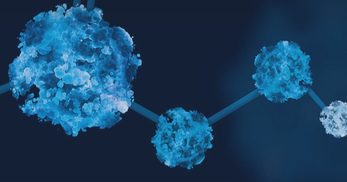Tissue Regenix hail progress after a year of double-digit growth and ...