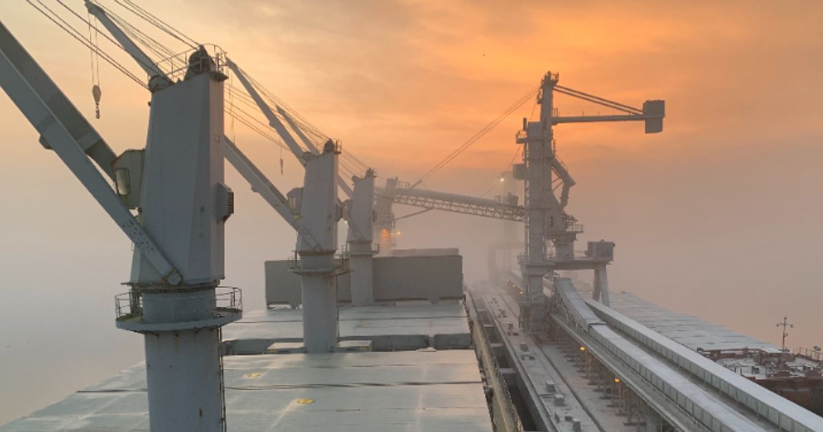 Taylor Maritime Investments takes full ownership of Grindrod Shipping ...