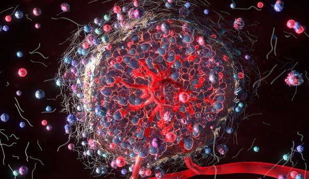 Radiopharm Theranostics welcomes proof of concept for LRRC15 tumour ...