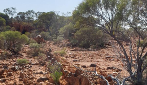 Aurumin begins mapping and ultrafine soil sampling across Greater ...