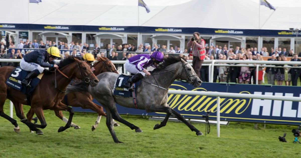 Has 888 Holdings delivered the 'stable trend' or has the horse bolted ...