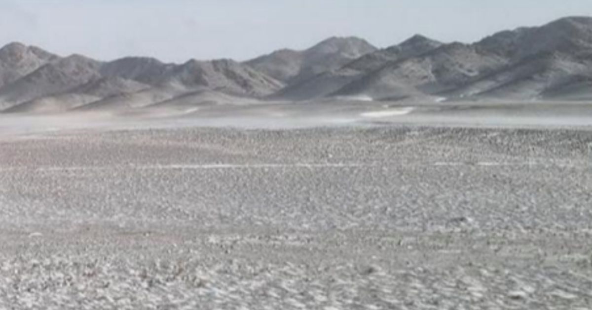 Elixir Energy completes second well in record time at Nomgon IX coal ...