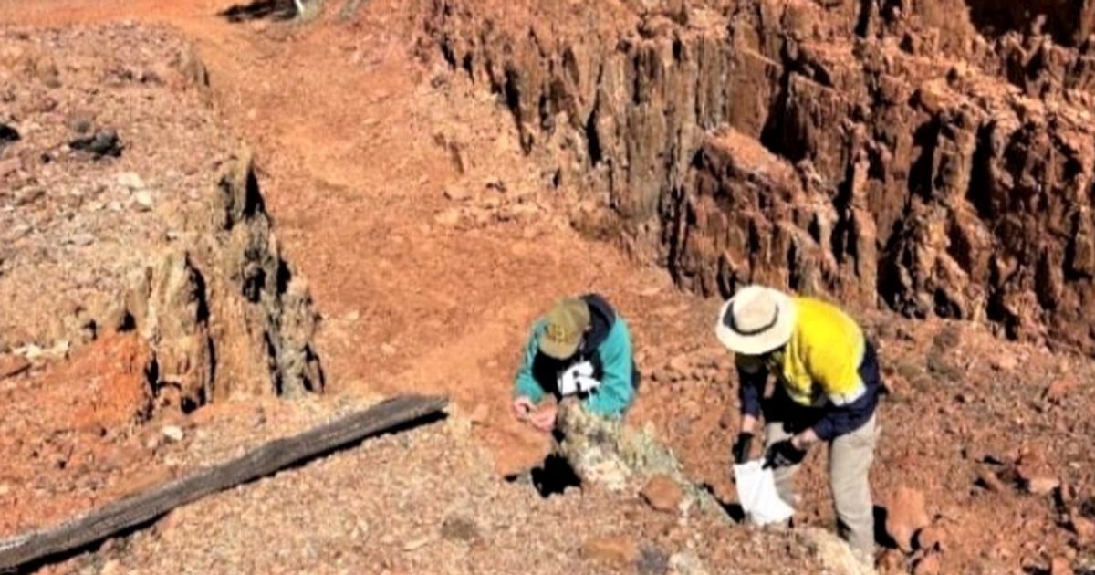 Cooper Metals delivers high-grade copper in rock chips from new Ardmore ...