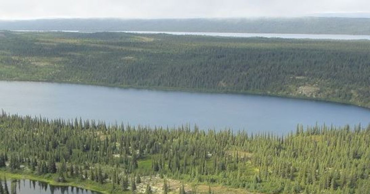 Century Global Commodities Joyce Lake DSO project achieves ...