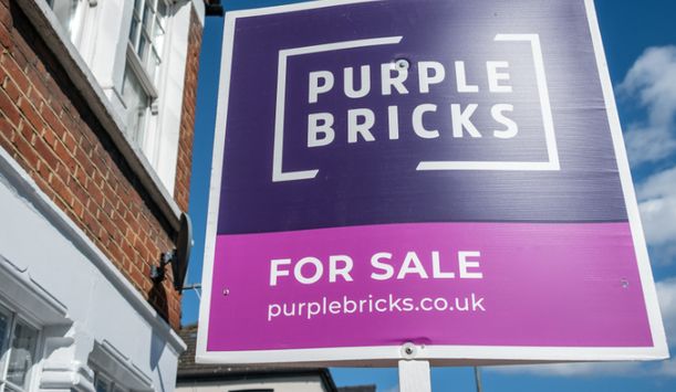 Purplebricks activist Lecram calls for chair to go after years of 'poor ...