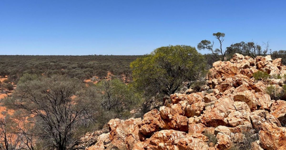 Oar Resources picks up two more tenements at Northern Goldfields ...