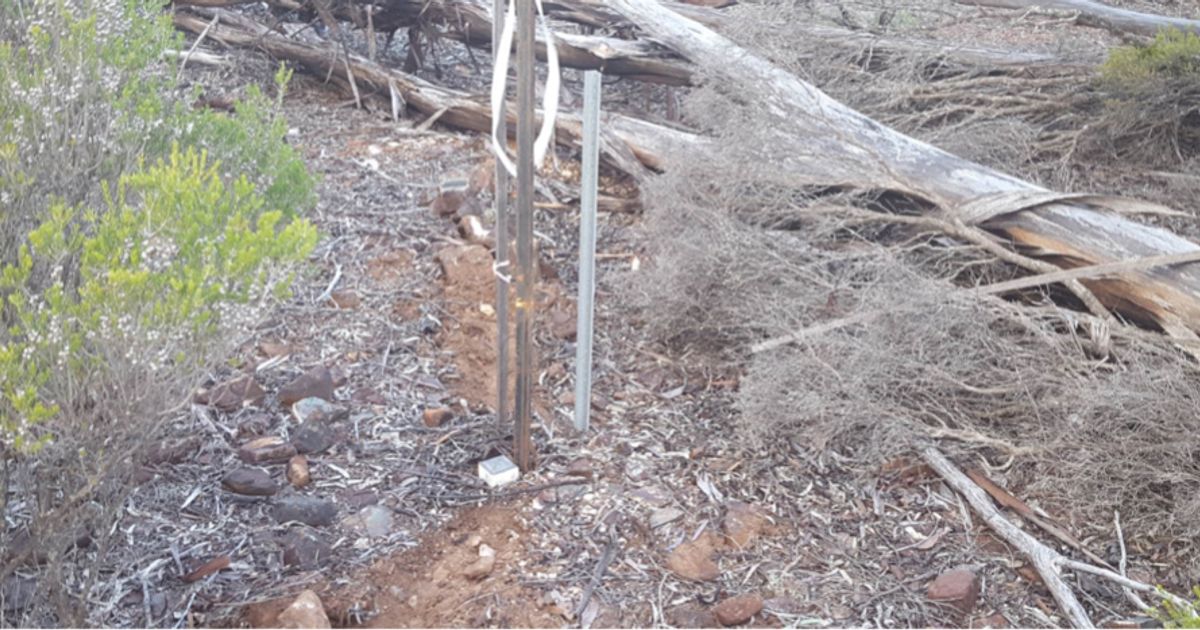 Aruma Resources confirms lithium and rubidium in first Mt Deans assays ...