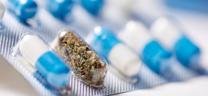 BioHarvest Sciences Inc signs 'truly revolutionary' LOI to provide ...