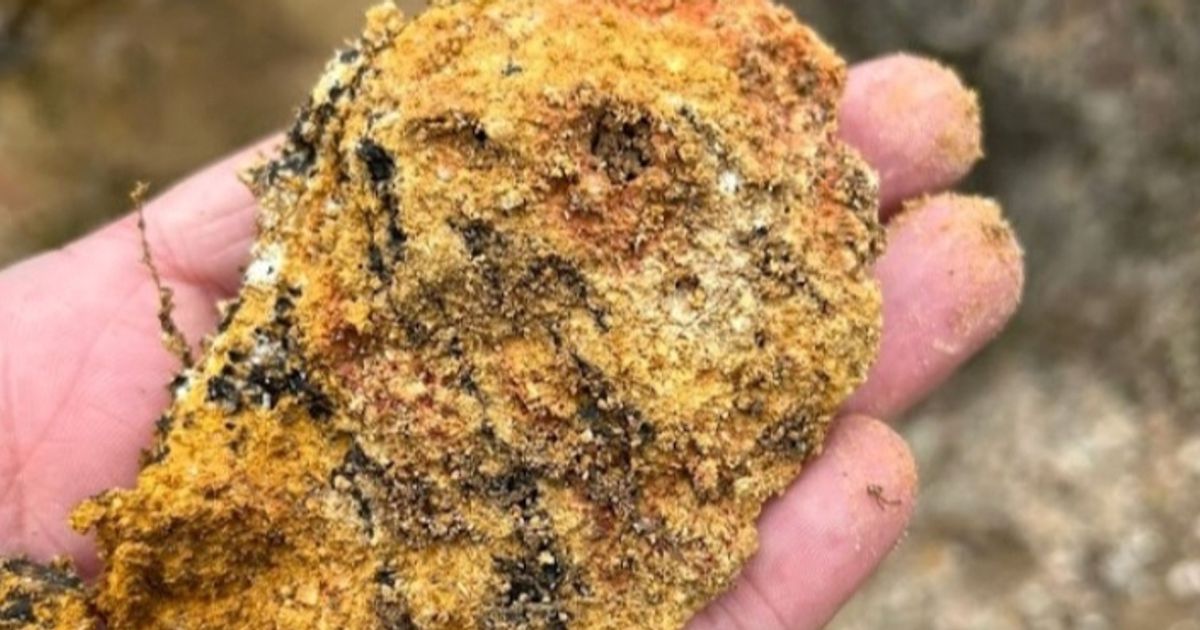 Meteoric Resources sees world-class potential at Caldeira rare earths ...