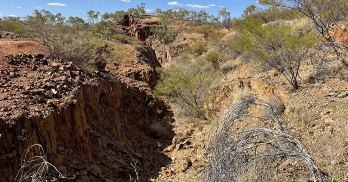Cooper Metals hits more high-grade copper-gold at King Solomon in third ...