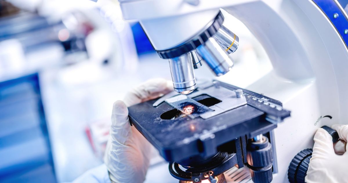 Prometheus Biosciences soars as new data indicates therapeutic ...