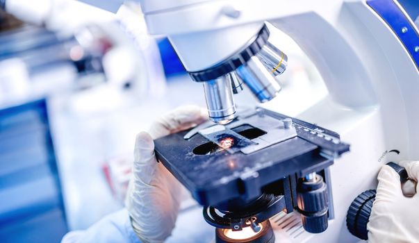 Prometheus Biosciences soars as new data indicates therapeutic ...