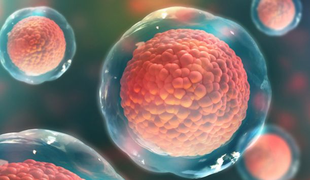 Gamida Cell shares jump on FDA recognition of allogeneic cell therapy