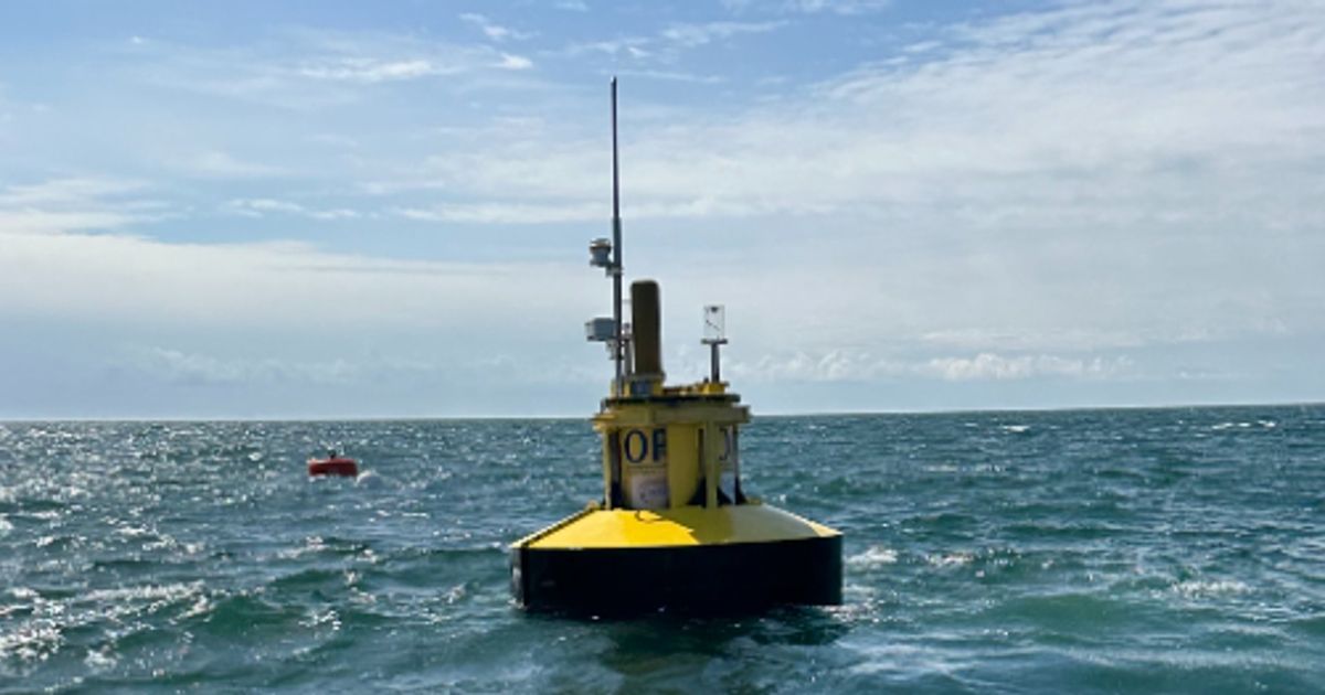OPT deployment of next generation Wave Energy Converter Buoys opens new ...