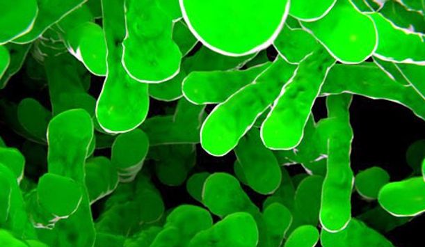 Redx Pharma honoured by UK biotech industry for cancer discovery