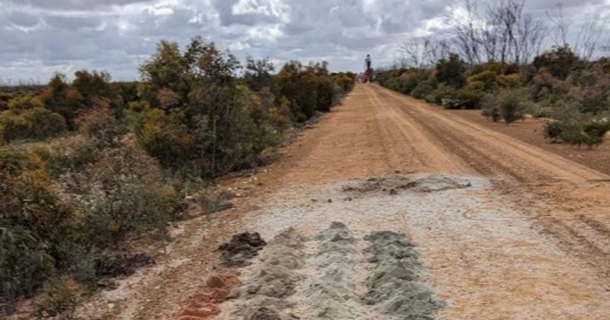 Moho Resources to launch second phase drill program at Peak Charles REE ...