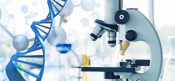 Arovella Therapeutics on track to first-in-human clinical trials for ...