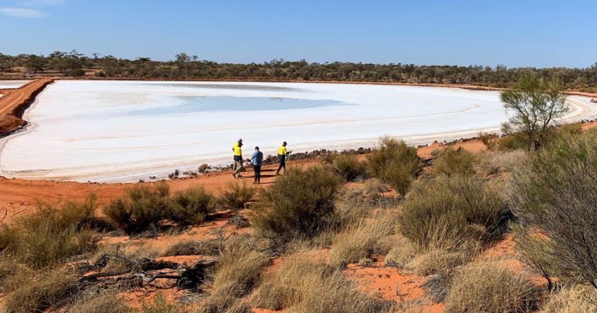 Australian Potash outlines next steps for Lake Wells development | ASX:APC