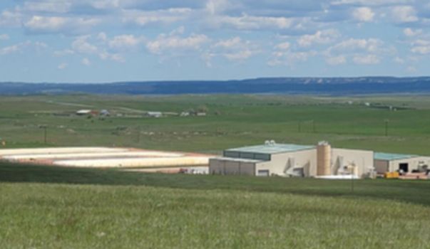 Peninsula Energy releases inaugural sustainability report ahead of ...