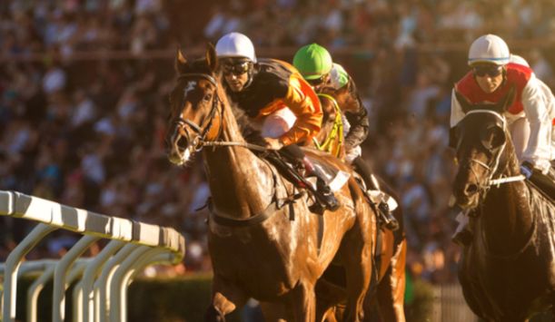 Entain reportedly inks NZ$900 million New Zealand betting deal | LSE:ENT