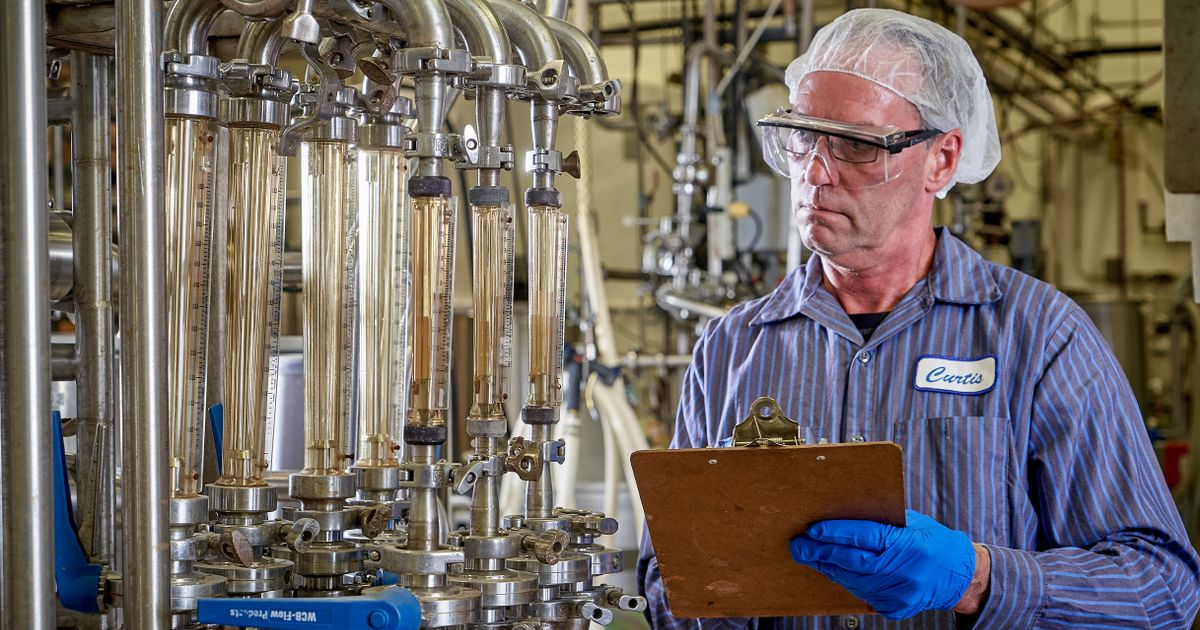 Burcon NutraScience expands offering with pilot plant processing and ...