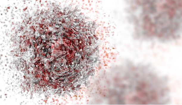 Imugene's onCARlytics and Artemis® T cells combination presented as ...