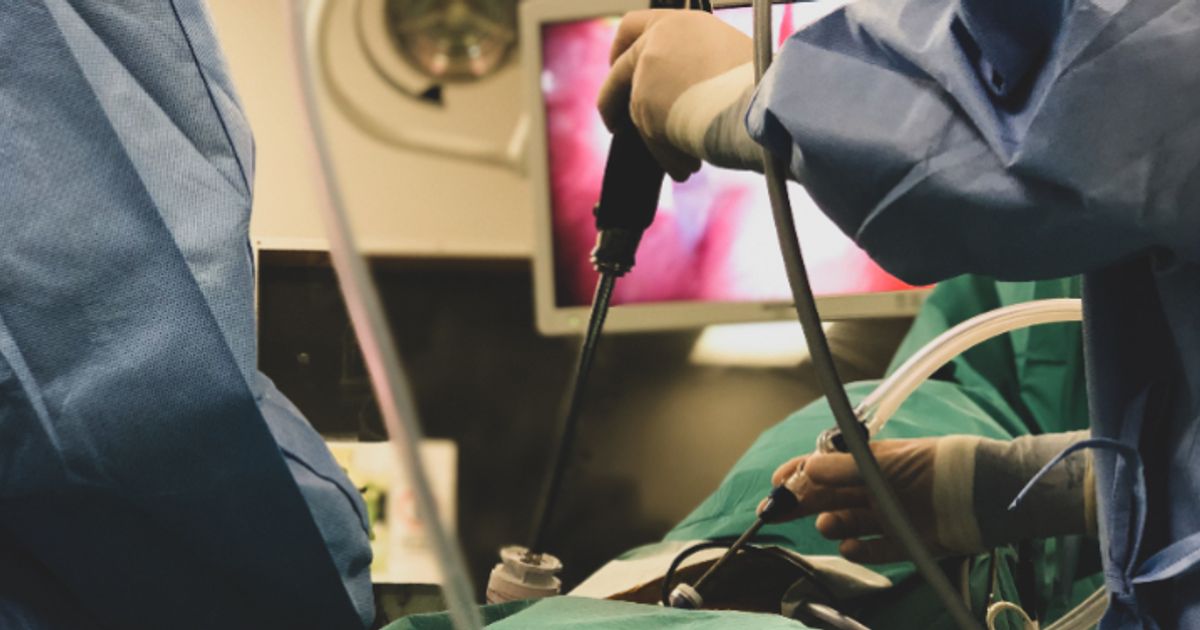 Creo Medical flags first use of Speedboat device in upper ...