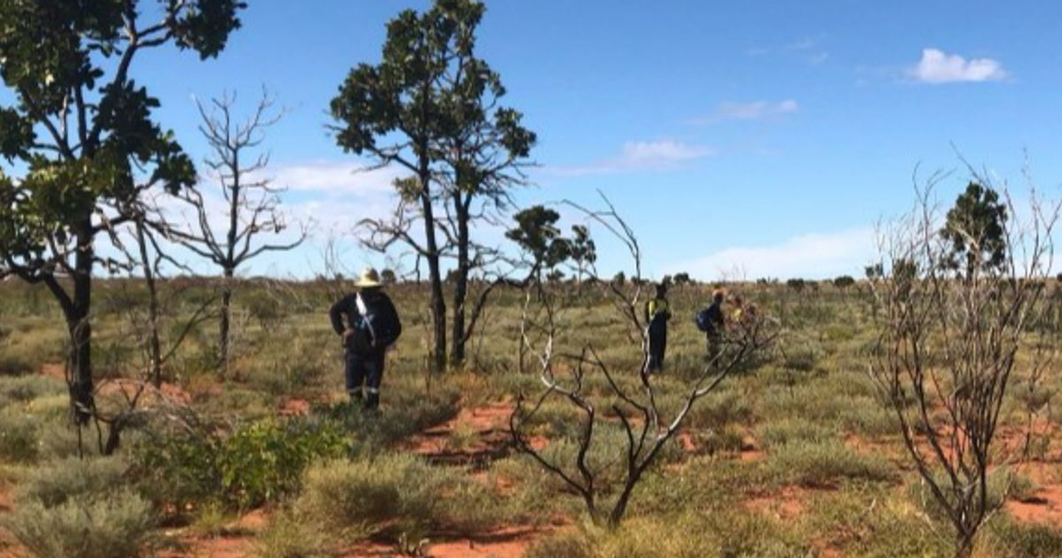 Sipa Resources starts 2023 field program at Rio backed Paterson North ...