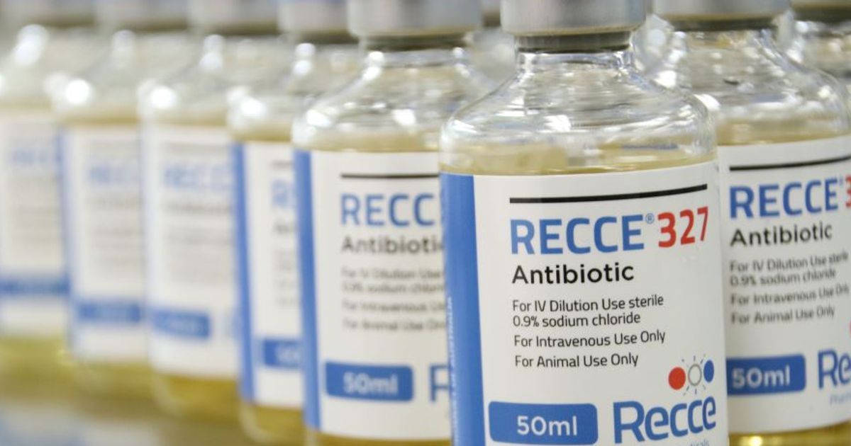 Recce Pharmaceuticals receives Ethics Approval to expand R327 Faster ...