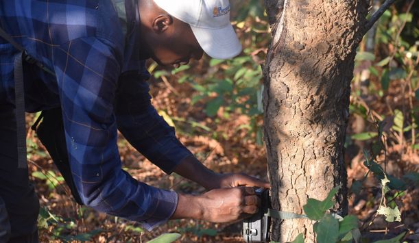 Predictive Discovery a step closer to Bankan gold resource update ...