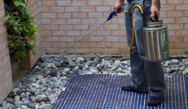 Rollins likely to remain resilient even in recession due to non ...