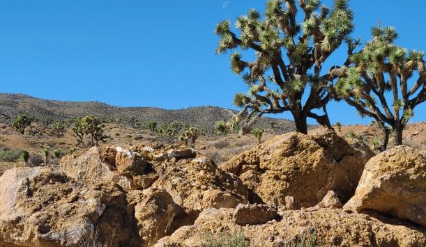 Gold Basin Resources 2Q sampling program defines gold trends at Gold ...