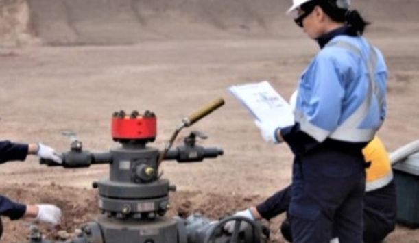 Talon Energy and TMK Energy begin production testing at Mongolian CSG ...