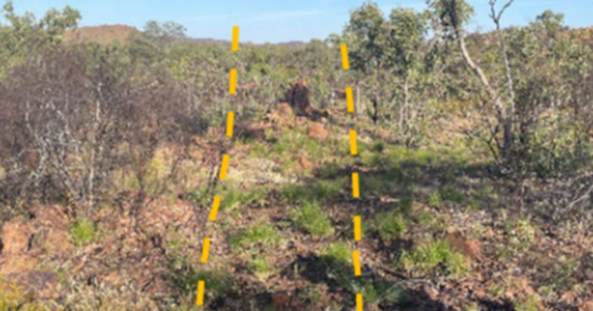 Cooper Metals' reconnaissance sampling yields new copper and gold ...