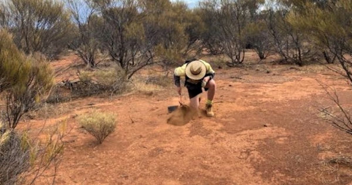 Cooper Metals uncovers new copper and gold targets at Mt Isa East | ASX:CPM