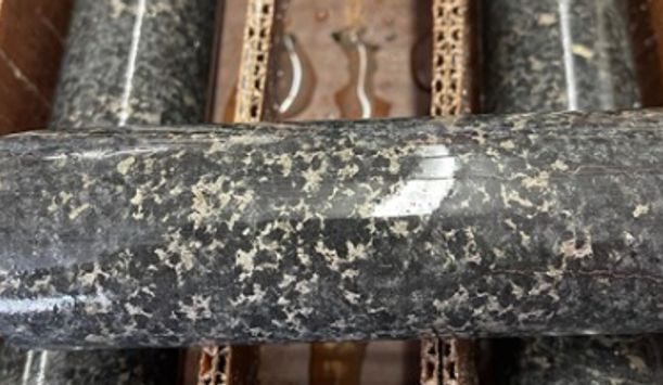 Talon Metals drills new area of nickel mineralization at Tamarack ...