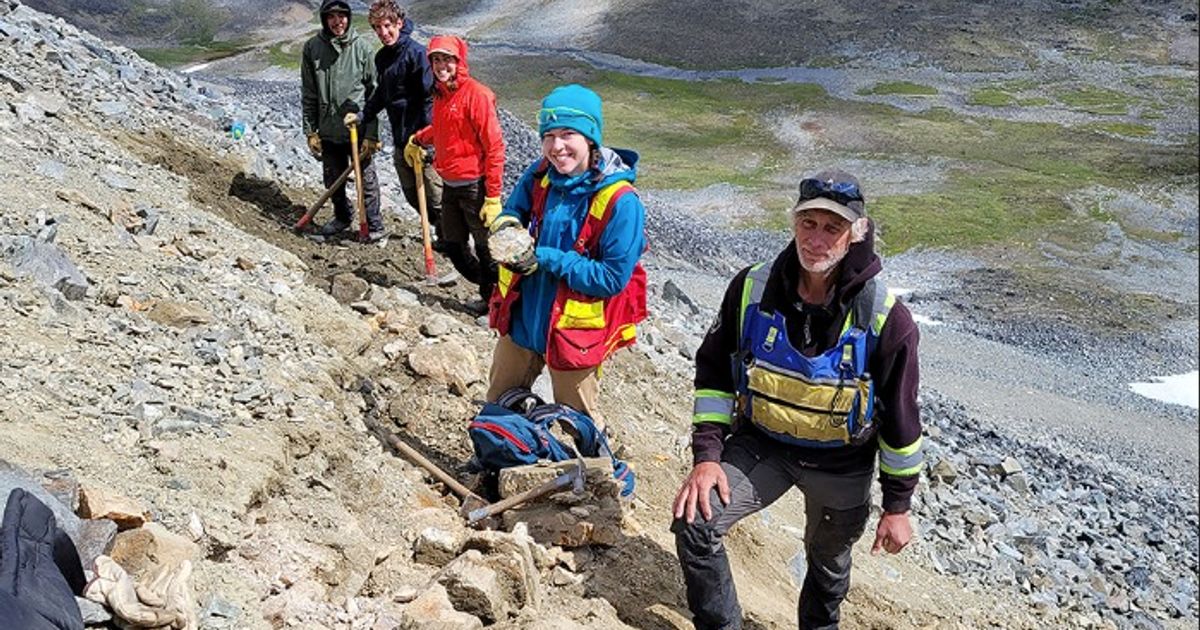 Transition Metals commences hyperspectral and LiDAR surveys on Pike ...
