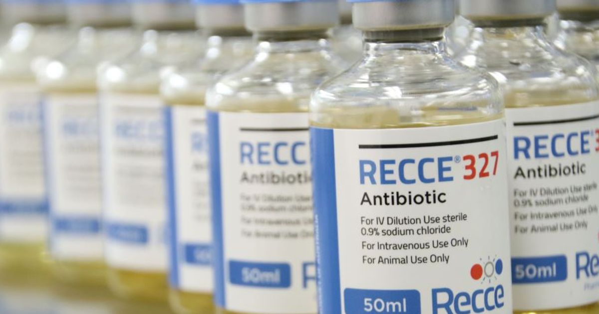 Recce Pharmaceuticals welcomes positive case studies and research data ...