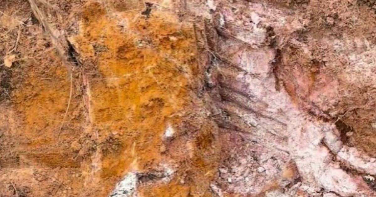 Ionic Rare Earths makes cornerstone A$600,000 investment in potential ...