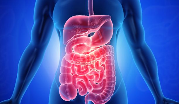 Immuron presenting at US military health symposium | NASDAQ:IMRN, ASX:IMC