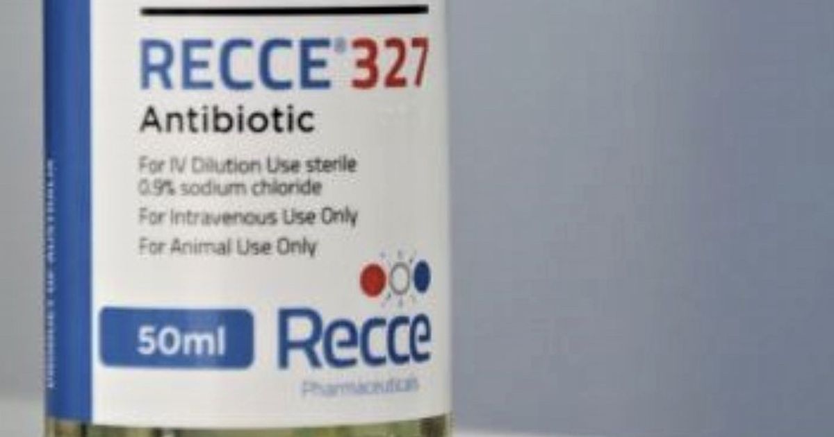 Recce Pharmaceuticals provides new hope in fight against superbugs ...