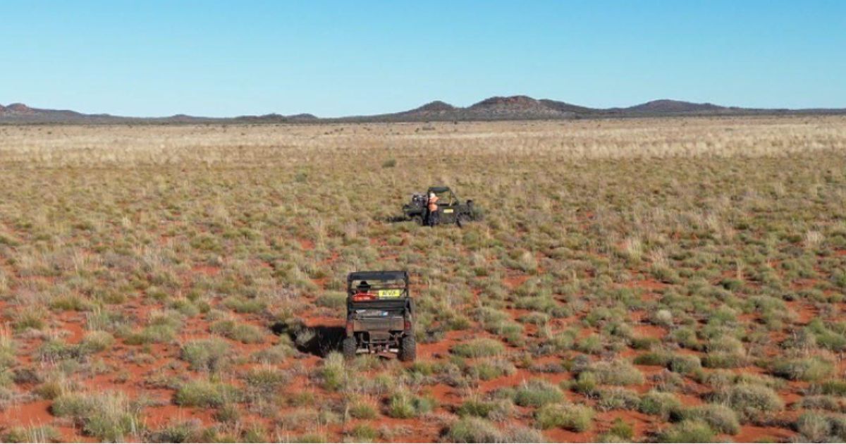 Caspin Resources extends high-grade heavy rare earths at Mount Squires ...