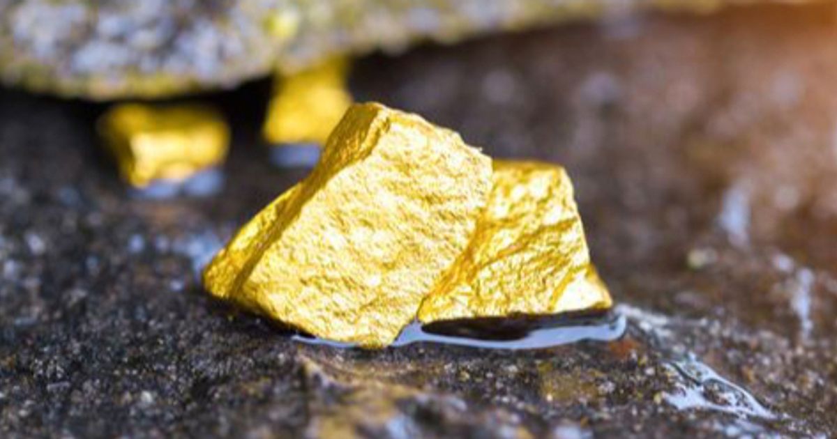 Dynamic Metals welcomes high-grade gold at Widgiemooltha | ASX:DYM
