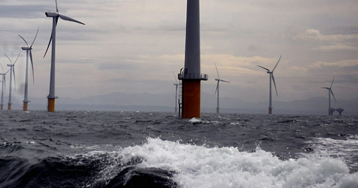 UK offshore wind power 'disaster' auction leads to calls for urgent reform