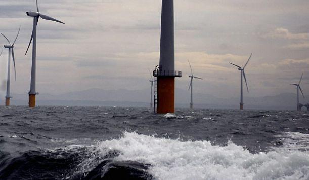 UK offshore wind power 'disaster' auction leads to calls for urgent reform